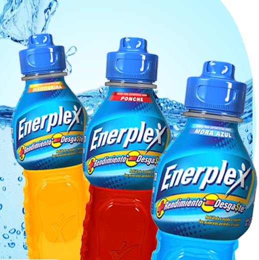 SABORMEX® | El sabor de tus marcas consentidas